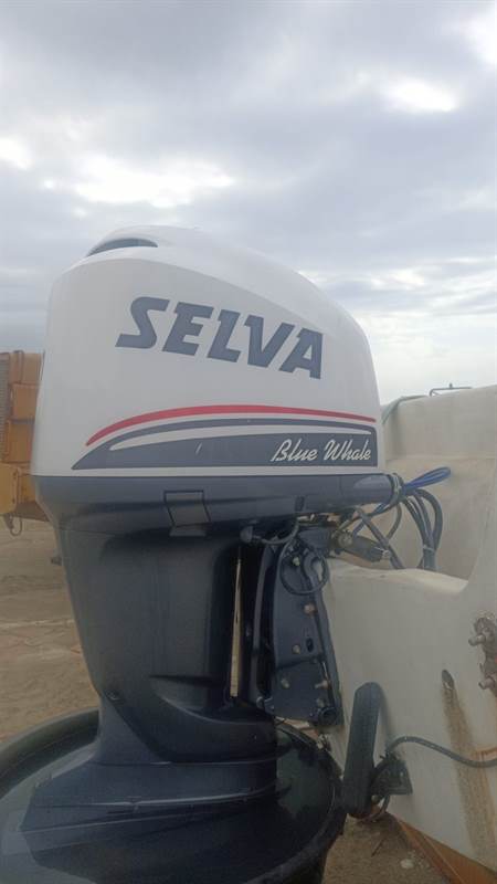 Motore Selva Yamaha 250 hp - in vendita a Roma | AAAnnunci.it