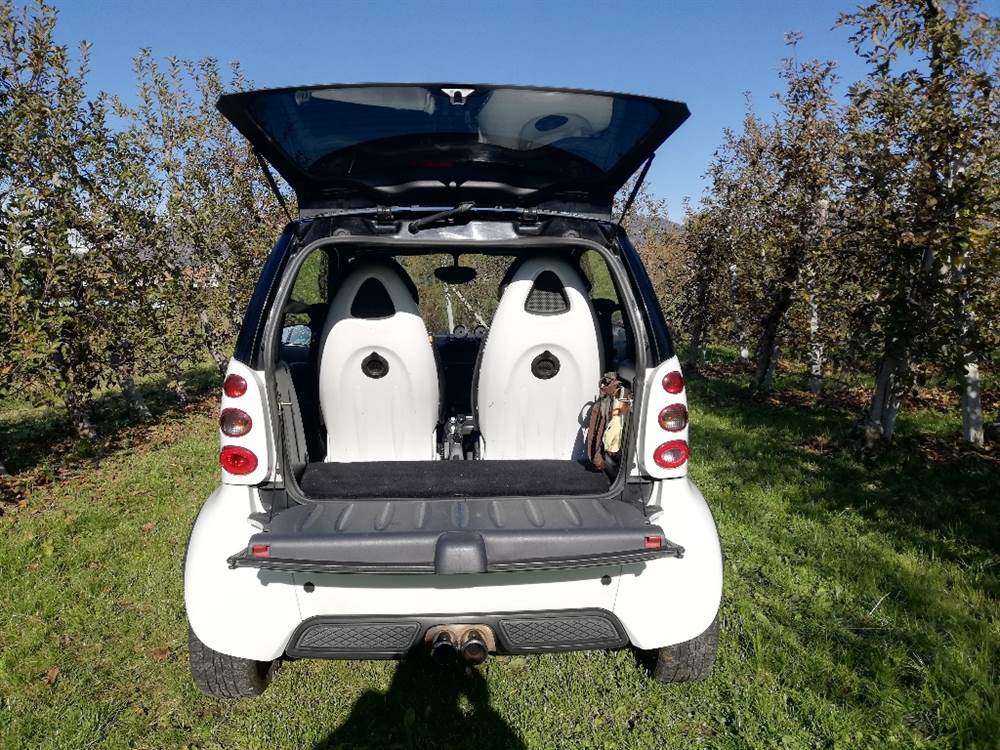 Smart Modello Fortwo 700 Anno 2006 Km 104000 Coupé - Bolzano