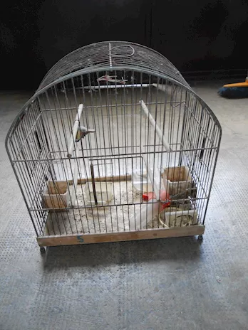 5 gabbie uccelli - Articoli per animali a Monza e della Brianza