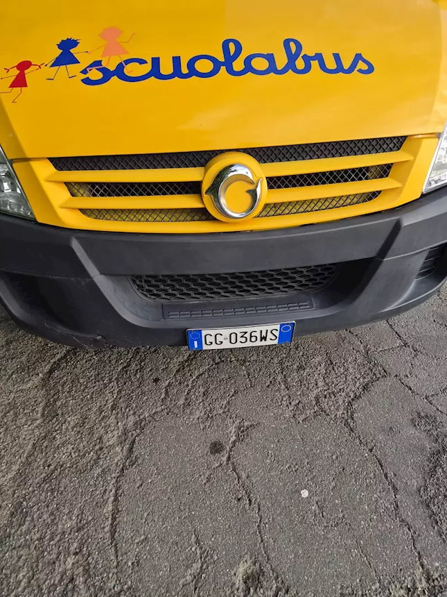 Iveco Daily Anno 2010 Euro 4 - Scuolabus a Latina