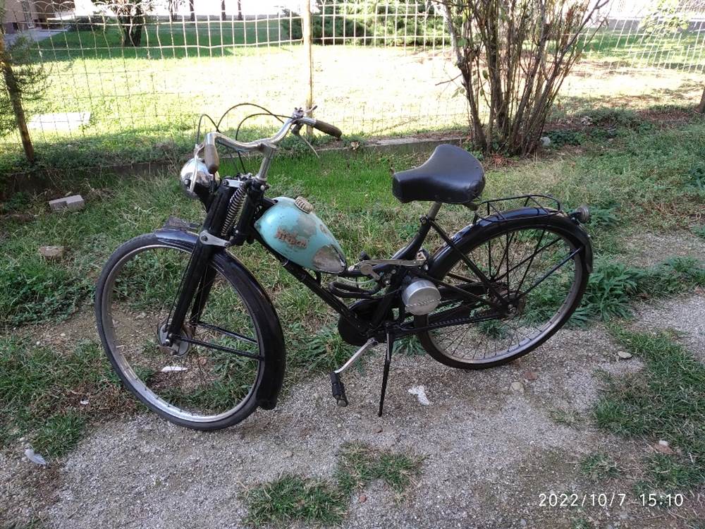 Aquilotto Bianchi Azalea da gara, modello unico - Milano